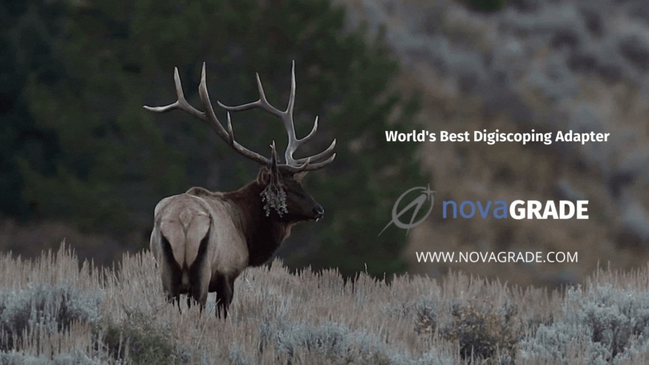 novagrade - HuntPost.com