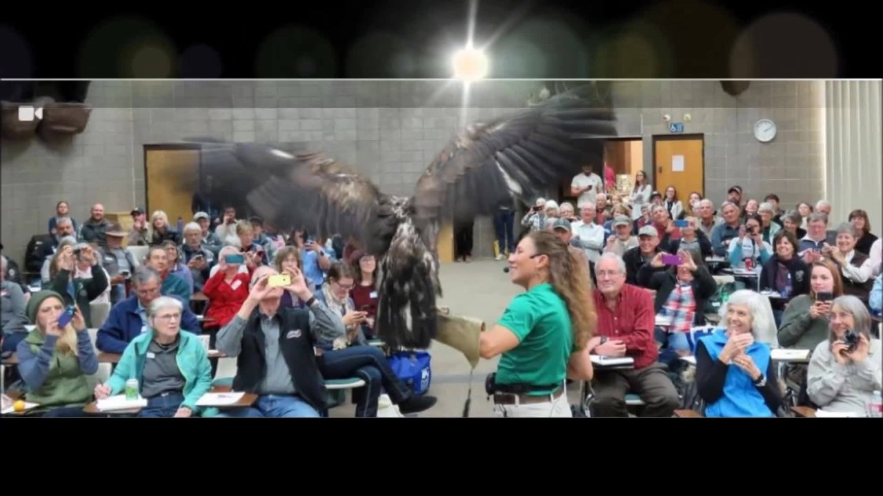 Raptor Education Foundation - HuntPost Business Page - HuntPost.com