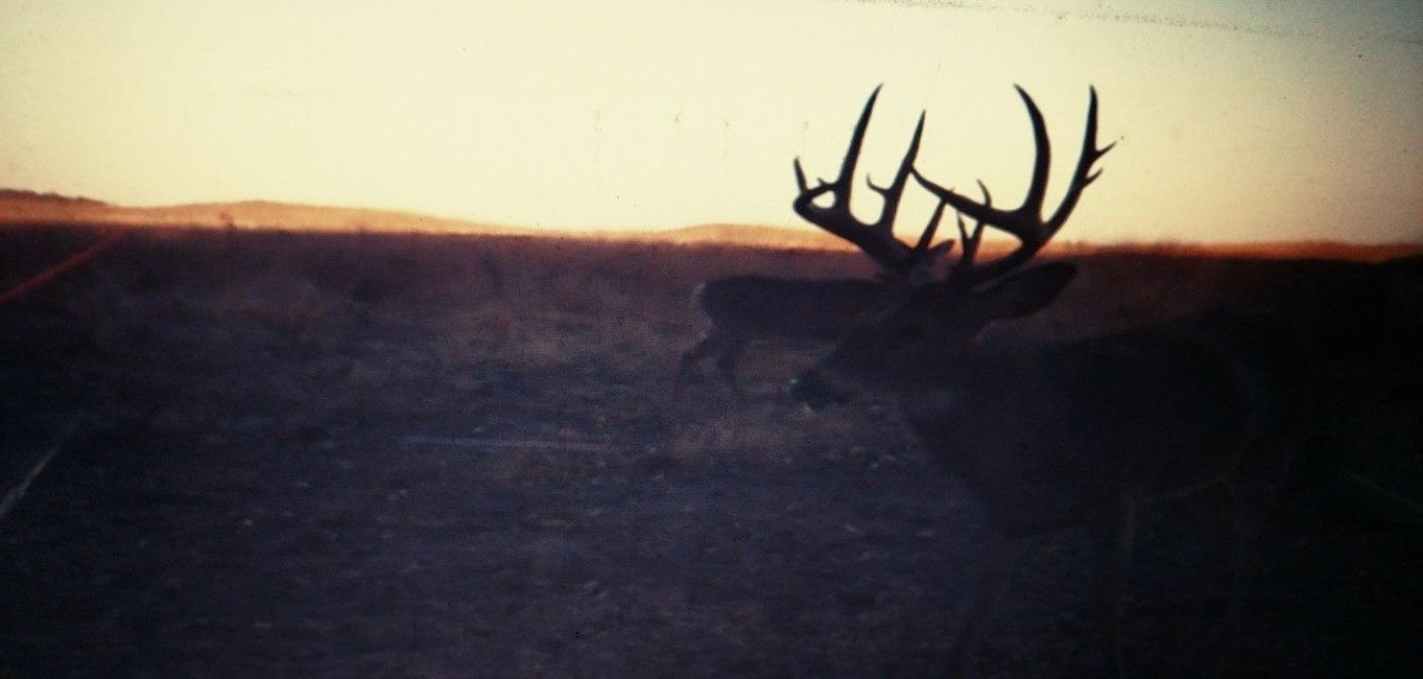 Royer Hunts - HuntPost.com