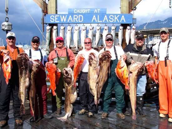 Silver Salmon, Halibut, Ling Cod & Rainbow Trout Fishing in Alaska Plan ...